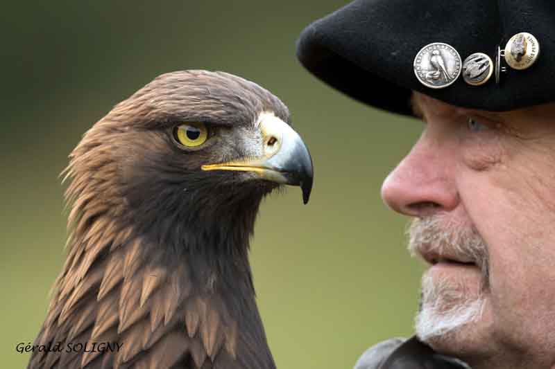 L'Aigle Royal - Fauconnerie Française