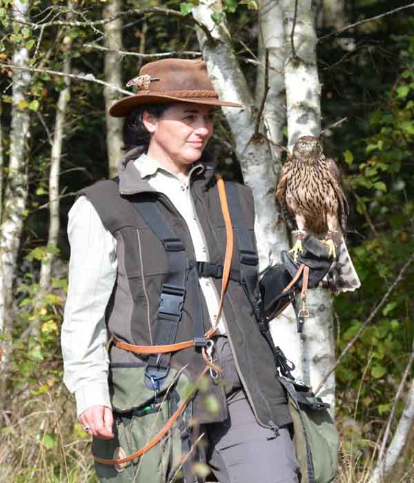Comment devenir Fauconnier - Fauconnerie Française